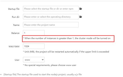 Pm2 Manager Not Show Process List Aapanel Free Hosting Control