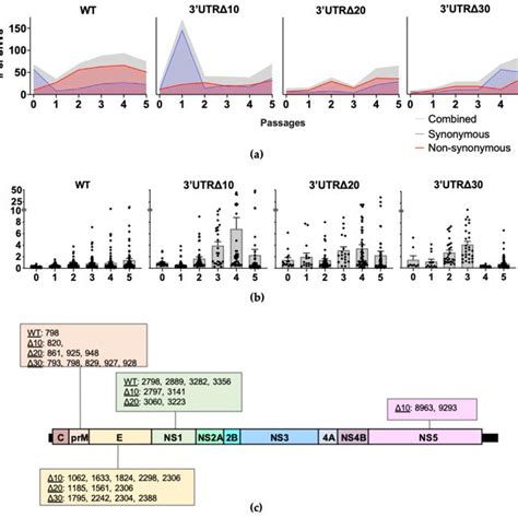 Single Nucleotide Variant Snv Analysis Of Each Virus Sequence A Download Scientific