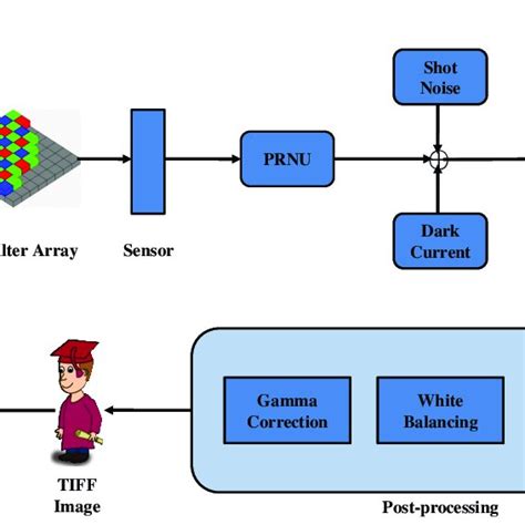 Illustration Of A Typical Imaging Pipeline Within A Digital Camera Download Scientific Diagram