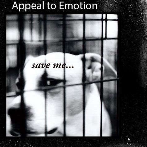 10 Types Of Logical Fallacies Are You Guilty Of Any Girlsaskguys