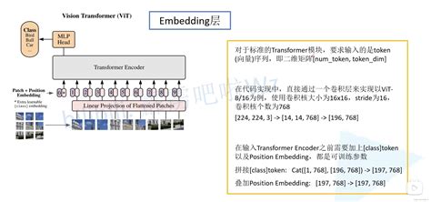 深度学习第六周培训 linear projection of flattened patches csdn博客