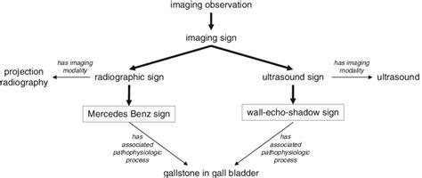 Illustration Of The Relationships Between Imaging Signs And Other