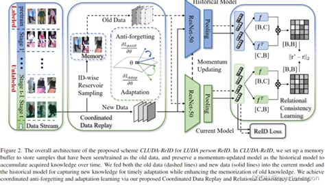 Lifelong Unsupervised Domain Adaptive Person Re Identification With Coordinated Anti Forgetting