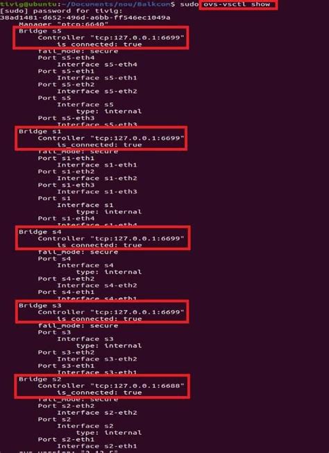 Running The Second Ryu Controller Which Runs On 6699 Tcp Port Download Scientific Diagram