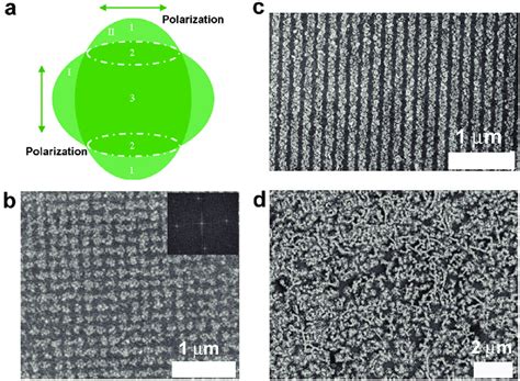 Diverse Nanostructure Array Fabrication With Successive Double
