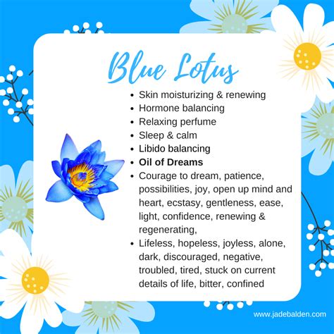 Lotus Flower Skin Care Properties Best Flower Site