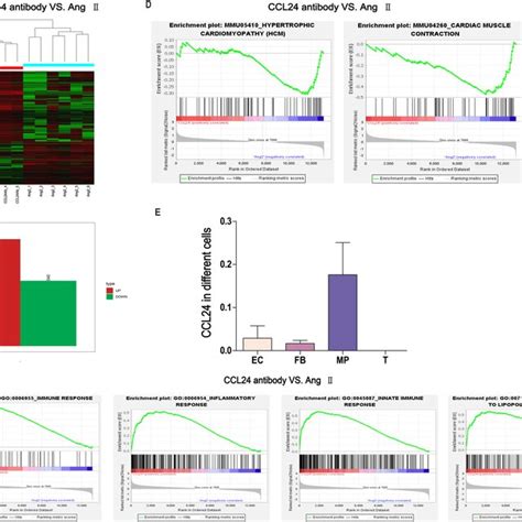 Data Analysis Of Transcriptional Profiling A Heatmap Of The