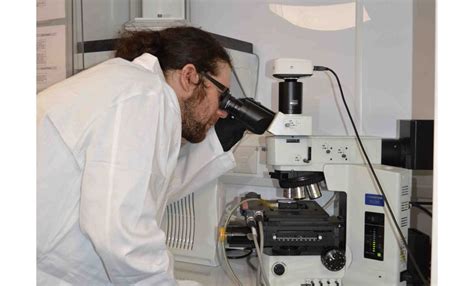 Microscopic Particle Analysis Services In The Uk