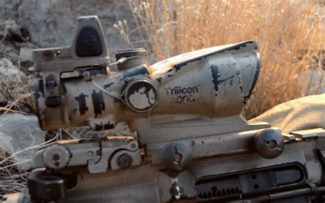 Lpvo Vs Acog Which Should You Choose [in 2024]
