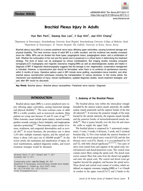 PDF Brachial Plexus Injury In Adults