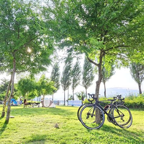 직 접 찍 은 사진 자랑 5월 한강의 어느 좋은 날♡ Daum 카페