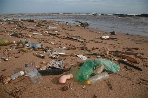 Netherlands Escience Center On Linkedin A New Deep Learning Model