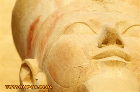 Shemsou Toysondor Toison Dor