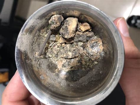 Did I Just Find A Halmaddior Derivative Tree More In Comments Pls Help This Smells Amazing