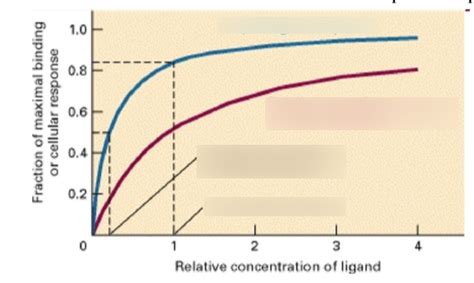 Fhb U4 L1 Saturation Binding Curve Diagram Quizlet