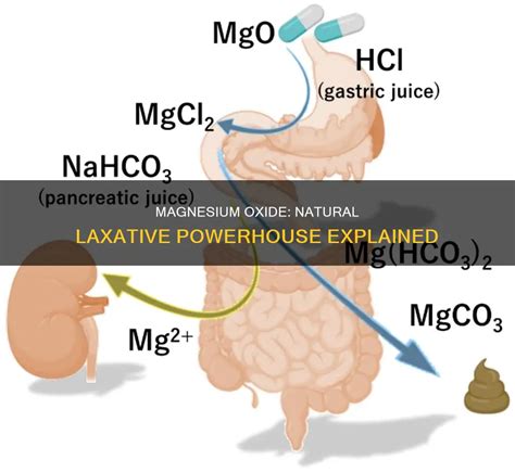 Magnesium Oxide Natural Laxative Powerhouse Explained Medshun