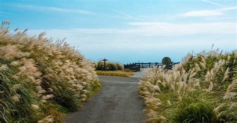 집 밖의 경치 경치 좋은 길 경치 좋은 전망 고요한 관광 구름 그림 같은 농촌의 당일 치기 여행 도로 맑은