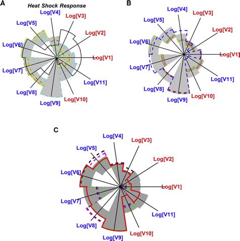 Spider Plot Representation Of The Feasibility Range Of Adaptation Of Download Scientific