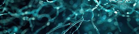 A Neural Network Analyzing Massive Datasets To Identify Investment
