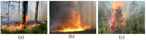 Mcan Yolo An Improved Forest Fire And Smoke Detection Model Based On