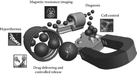 Biomedical Applications Of Magnetic Nanoparticles Download Scientific Diagram