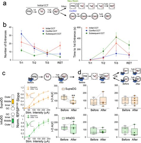 Cognitive Control Persistently Enhances Hippocampal Information