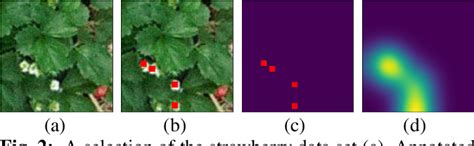 Figure 1 From Counting Strawberry Flowers On Drone Imagery With A Sequential Convolutional