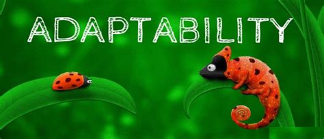 Adaptability And Attitude