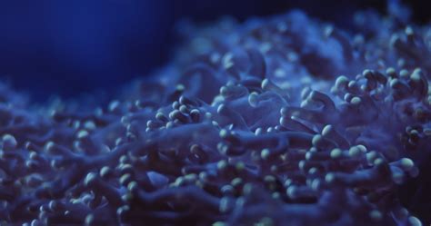 低成本使用树莓派打造专业摄影机 OSCHINA 中文开源技术交流社区