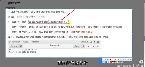 Grep Wc 管道符 Grep N 关键字 文件路径grep N Code Testtxtgrep N Code Grep Wc 管道符 Grep N 关键字 文件路径grep N Code Testtxtgrep N Code