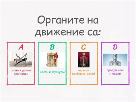 Основни органи в човешкото тяло Quiz