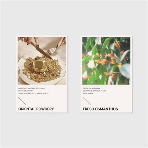 시향지 종이 카드 디자인 향수 안내카드 엽서 제작 인쇄 엽서 카드 디자인 카드