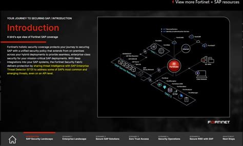 holger stumm on linkedin fortinet in the sap security world is one of