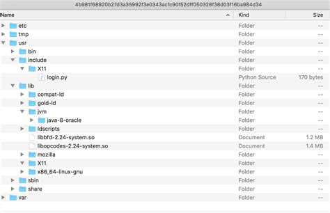 Anatomy Of A Hack Docker Registry NotSoSecure