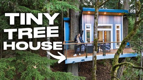 Inside A Tiny TREE HOUSE YouTube