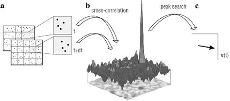 Schematic Representation Of The Cross Correlation Algorithm For