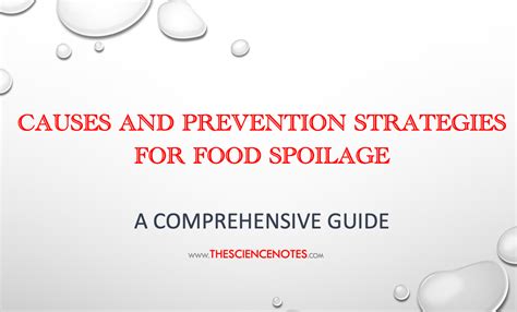 Causes And Prevention Strategies For Food Spoilage The Science Notes