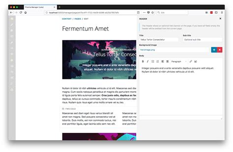 adding information text for a region · issue 388 · piranhacms re · github
