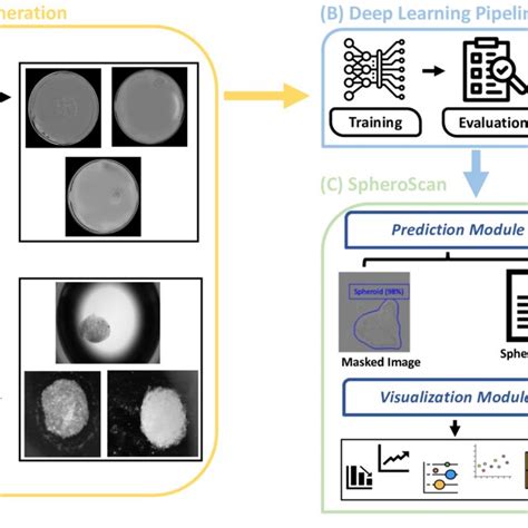 Graphical Abstract A Data Acquisition We Used Incucyte And