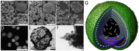 Coatings Free Full Text Nanoparticles In Polyelectrolyte Multilayer Layer By Layer Lbl