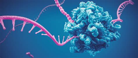 Lc Columns For Intact Protein And Subunit Analysis Agilent