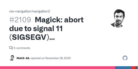 Magick Abort Due To Signal 11 Sigsegv Segmentation Fault · Issue