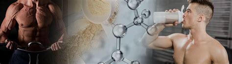 Glutamine Vs Bcaa Which Is Better For Muscle Gain