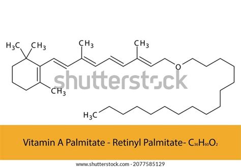 Retinyl Palmitate Skeletal Structure Molecular Formula Stock Vector Royalty Free 2077585129
