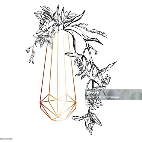 손으로 그린 벡터 잉크 난초 꽃과 가지 단색 자세한 개요 결정 형태의 조성물 흰색 배경에 격리 벽 예술 결혼식 인쇄 문신 표지 카드를위한 디자인 0명에 대한 스톡 벡터 아트