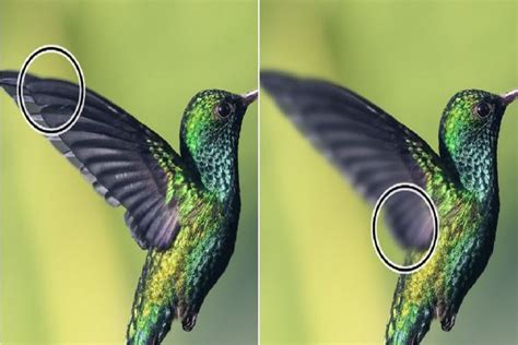 How To Blur Background In Photoshop Elements