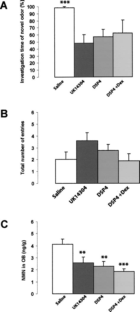 Noradrenergic Control Of Odor Recognition In A Nonassociative Olfactory Learning Task In The Mouse