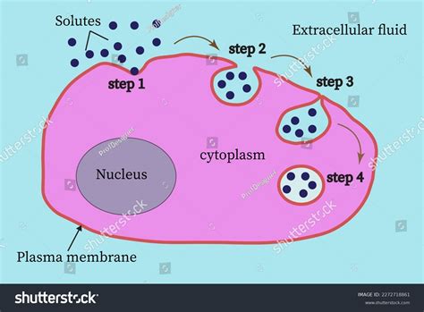 Ingestion Definition Process Video Lesson Vals Framework Explained