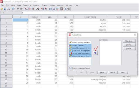 Univariate Analysis Using Spss Statistical Aid