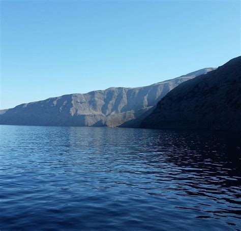 Guadalupe Island 2024 All You Need To Know Before You Go With Photos